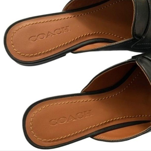 Scotty Slide - DAILY LUXURY